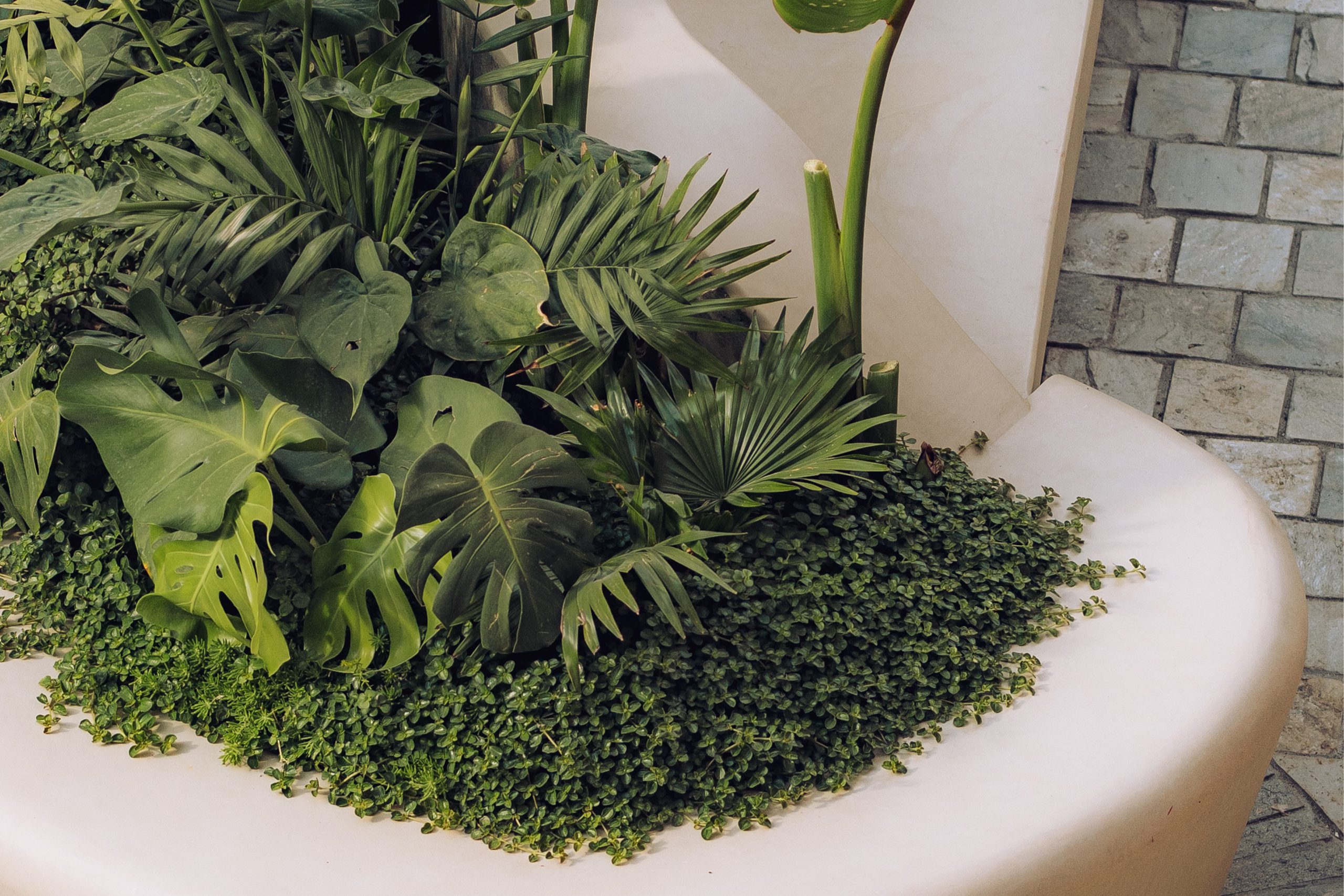 Bagaincha Ko Rukh | Our Green Promise for Sustainable Tourism